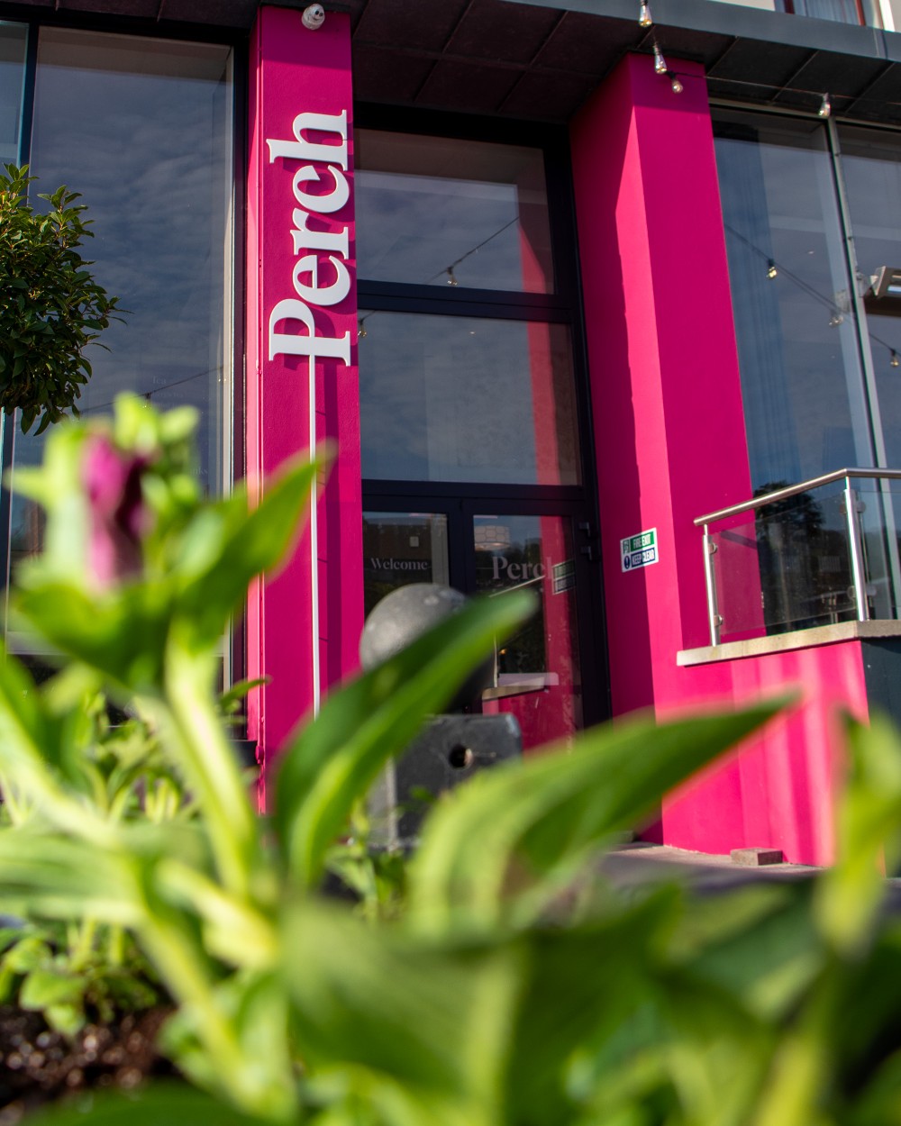 The Kingsley - Perch